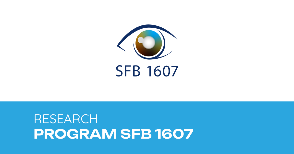 CRC 1607 Research Program